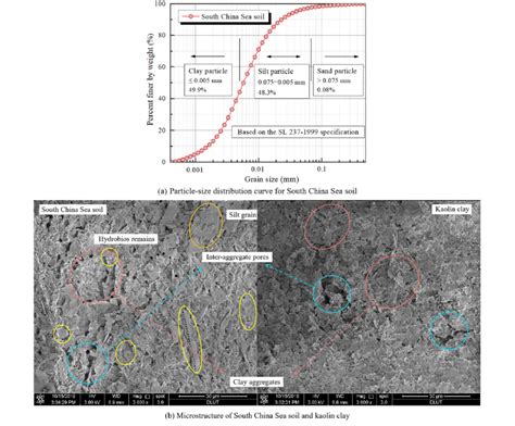 Particle Size Distribution Curve And Microstructure Of Samples Download Scientific Diagram