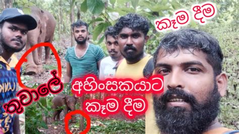 Kema Dhima කෑම දීම Mrchathuwa4745 Youtube