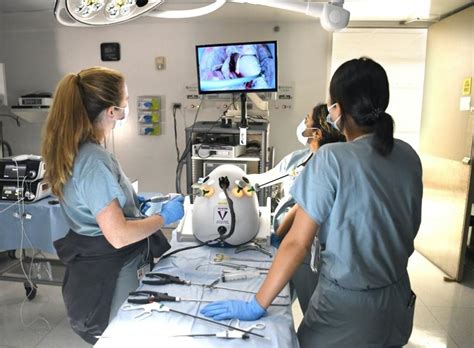 Obstetrics Simulation Labs Bcm