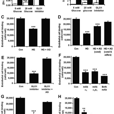 Molecular Modeling Of The Collagen Integrin Interface A Download Scientific Diagram