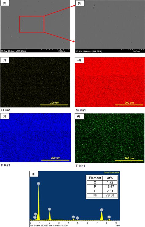 Surface Sem Micrographs And Eds Results Of Annealed 11 8 Wt Ti Coating
