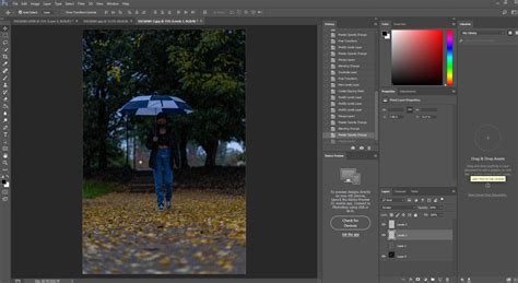 Solved Exporting Jpeg File Cuts Off Image Adobe Community 11505665