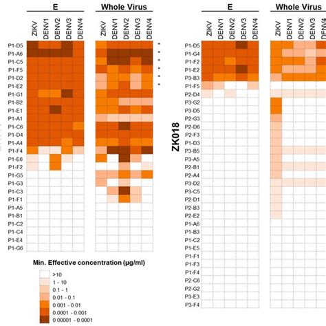 The Recall Zikv Plasmablast Response Is Highly Cross Reactive Against