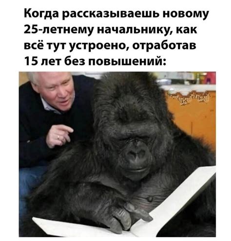 Карьерная лестница Пикабу