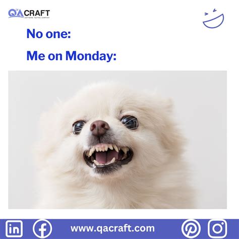 Qacraft Software Testing Company On Linkedin Qacraft Mondaymorning