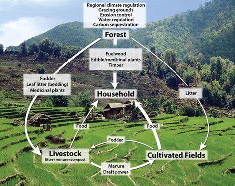 Schematic Demonstrating The Interconnected On Farm And Off Farm Inputs Download Scientific