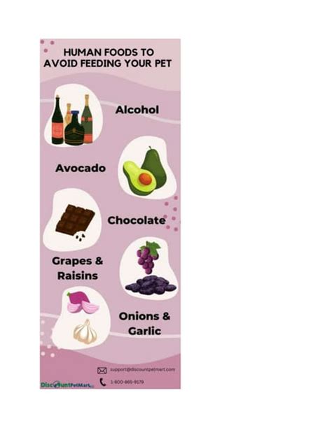 Human Foods You Should Avoid Feeding Your Pet Pdf