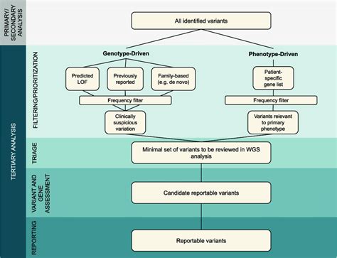 Wgs Analysis Process Including Genotype Driven And Phenotype Driven