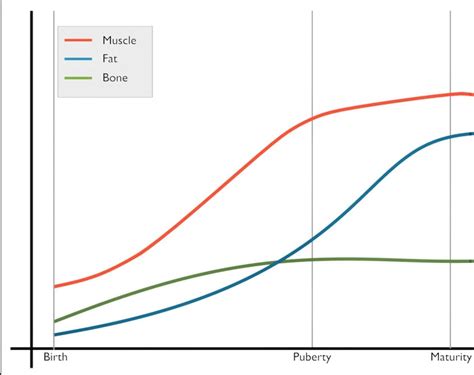 Optimizing Cattle Feed Essential Nutrition Requirements For Beef Cattle