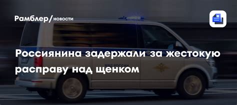 Россиянина задержали за жестокую расправу над щенком Рамблер новости