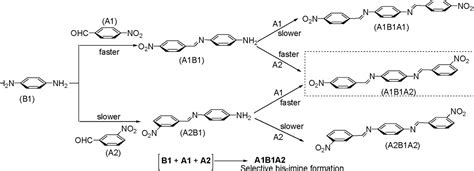 Conjugation Effects In The Generation Of Dynamic Covalent Libraries Of