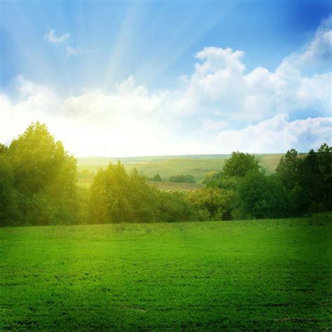 Danny Wilkinson Concert And Tour History Concert Archives