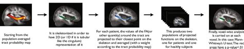 Skeleton Based Tract Specific Statistical Analysis On A Wm Tract