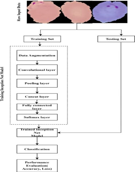 Figure 3 From Inception Model For Malaria Detection Using Malaria Cell Images Dataset Semantic