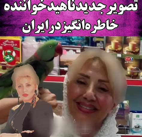 زیبایی ناهید خواننده ایرانی در پیری اش محو شد این اون نیست ؟ عکس