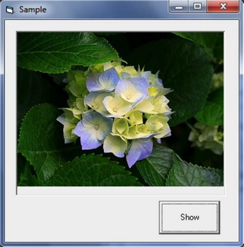 Working With Graphics In Visual Basic 6 Go4expert