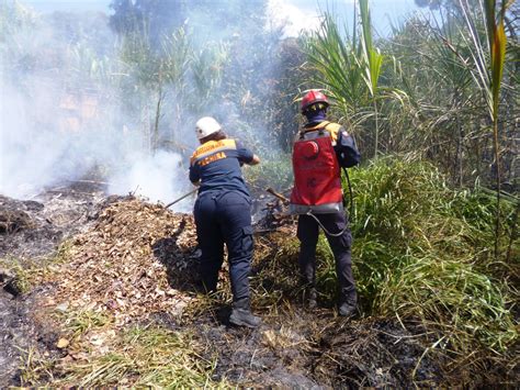 Protección Civil Táchira 28 Incendios Forestales Se Han Registrado En