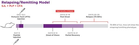 Generating Eae Mouse Models Of Multiple Sclerosis Taconic Biosciences