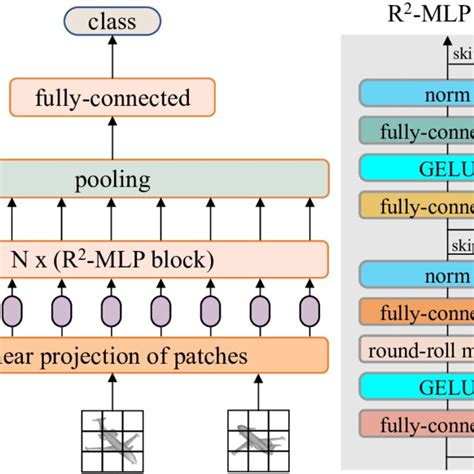 The Round Roll Mlp R 2 Mlp Architecture A 3d Object Is Projected Download Scientific