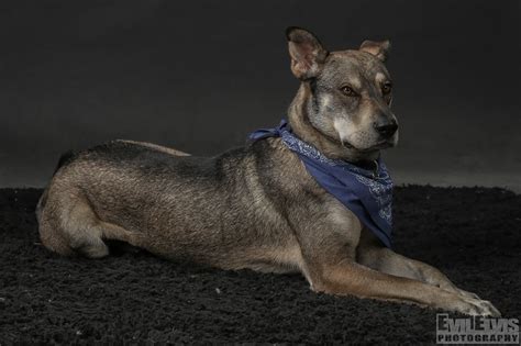 Django Makes A Good Model Ra