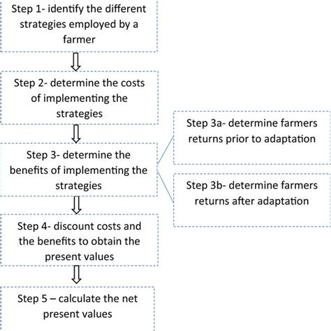 Steps In The Roi Analysis Conducted Download Scientific Diagram