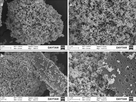 A Zno Nps Sem Image 21 µm B Enzyme Znonps Sem Image 21 µm