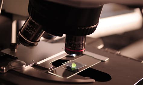 Agendia Announces Ce Mark For Ngs Based Mammaprint® Blueprint® Kit Enhancing Access To