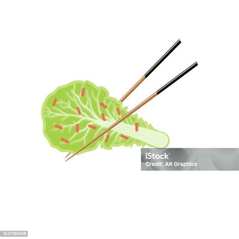 김치 로고 디자인 한국 전통 음식 벡터 양배추 녹색 야채 로고 일러스트레이션 회사 브랜드 아이콘 0명에 대한 스톡 벡터 아트 및 기타 이미지 Istock