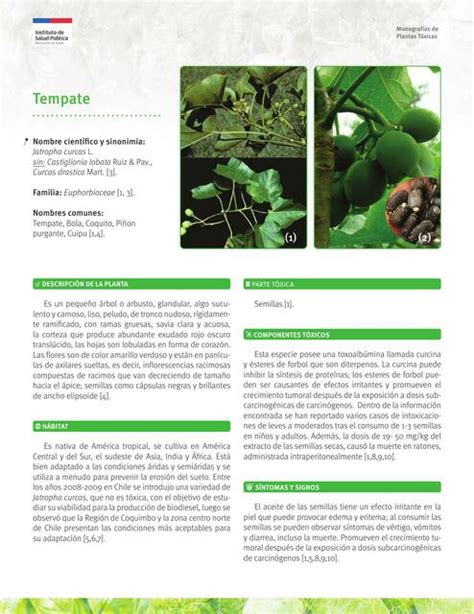 Tempate A Erick Udocz