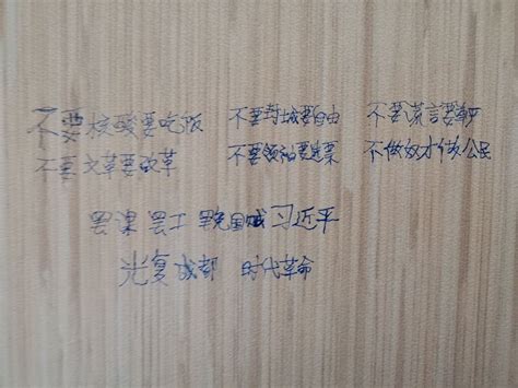 墙内民众创造性传播四通桥勇士的声音 · Issue 136 · Zmike1993hello World · Github