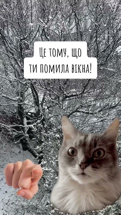 Мити вікна перед Пасхою квітень сніг мороз квітеньукраїна рек смішнікоти Youtube