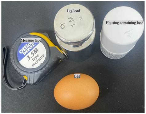 Tendon Driven Variable Stiffness Pneumatic Soft Gripper Robot