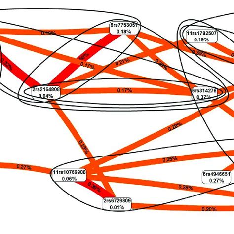 The Entropy Graph Of Single Nucleotide Polymorphism Snp Snp