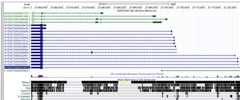 Introduction To Genome Browsers Bioinformatics Documentation