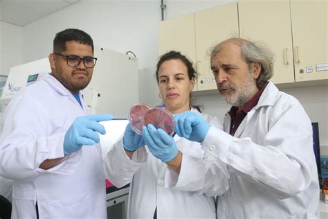 La Científica Publica Su Normativa Para El Registro De Propuestas De