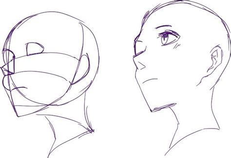 анатомия лица аниме Anatomy Reference Drawing Reference Manga School Manga Anime Anime Art