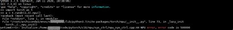 在模型运行时遇到报错RuntimeError Initialize 昇腾社区