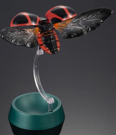 큰무늬무당벌레 02 Coccinella Hasegawai 반다이 생물대도감 어드밴스 2탄 곤충 피규어 한정판 모형 웜팩토리