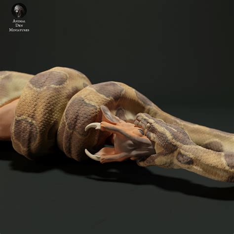 3d File Burmese Python Eating Muntjac Deer・3d Printable Design To