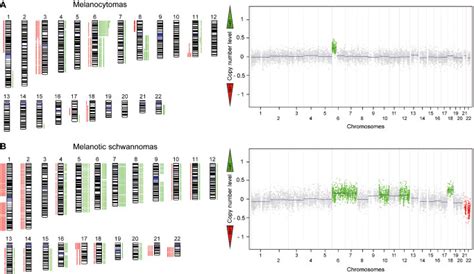 Numerical Chromosomal Alterations In Melanotic Nervous System Tumors Download Scientific