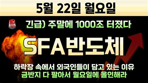 Sfa반도체 🚨아직몰라 1000조가 주말에 터져버렸다 폭락장 속에서 외인들이 쓸어 담고 있는 이유 전세문서 다팔아서라도 월요일에 올인해라 에코프로비엠 세토피아