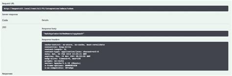 How To Use Magento 2 Api Examples And Tutorial Belvg Blog