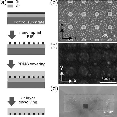 a fabrication scheme of the metasurface sticker the metasurface a download scientific