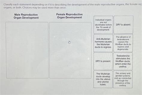 Solved Classify Each Statement Depending On If It Is Chegg Com