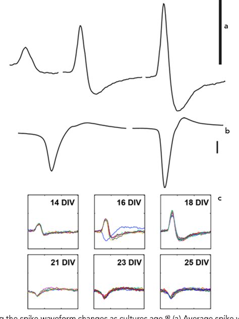 Figure 1 From In Vitro Microelectrode Array Technology And Neural