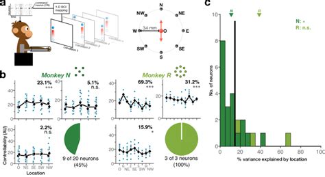 Location Of The Movement Axis Can Also Interact With Volitional
