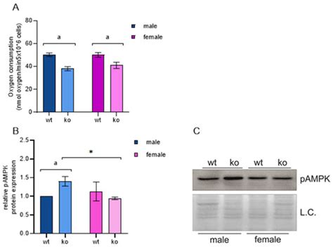 Ijms Free Full Text Gene Expression Profiling Reveals Fundamental Sex Specific Differences