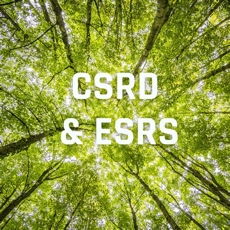 Csrd And Esrs Überblick 6 Tipps Und Alle Wichtigen Links