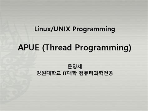 Linuxunix Programming Apue Thread Programming It Vs Page