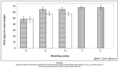 Creation Of A High Yielding Recombinant Maize Hybrid For The Production